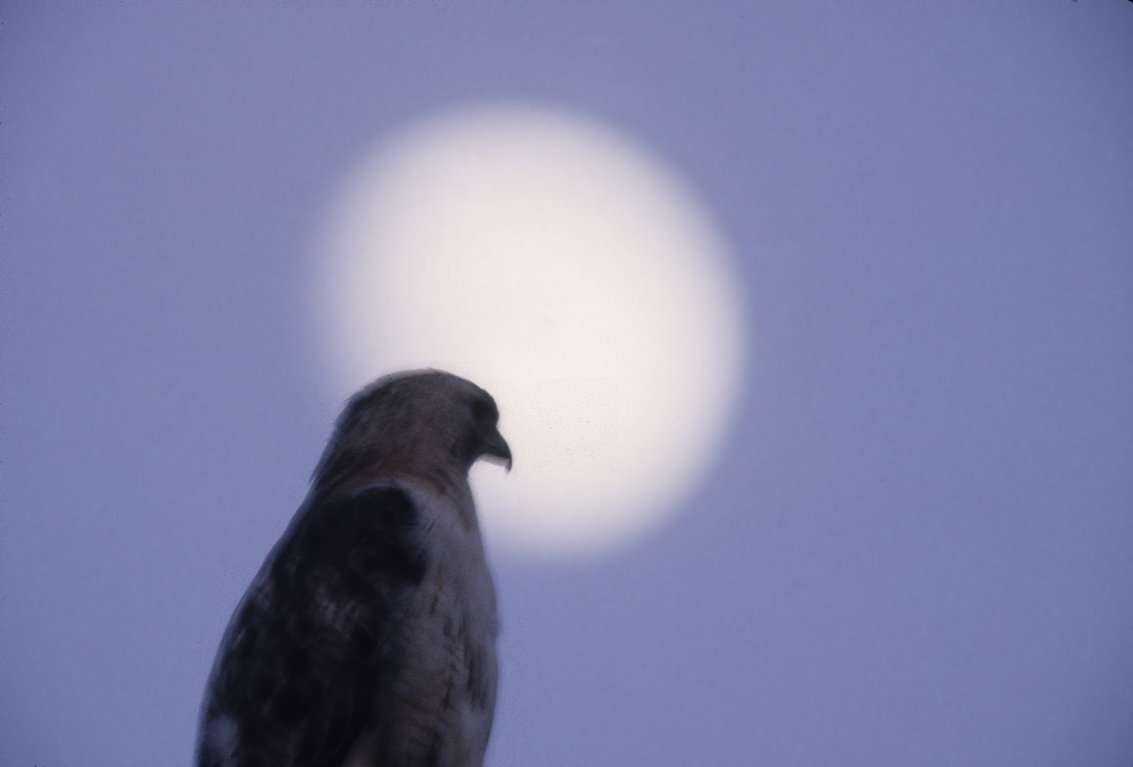 kennedyworks: December 2010