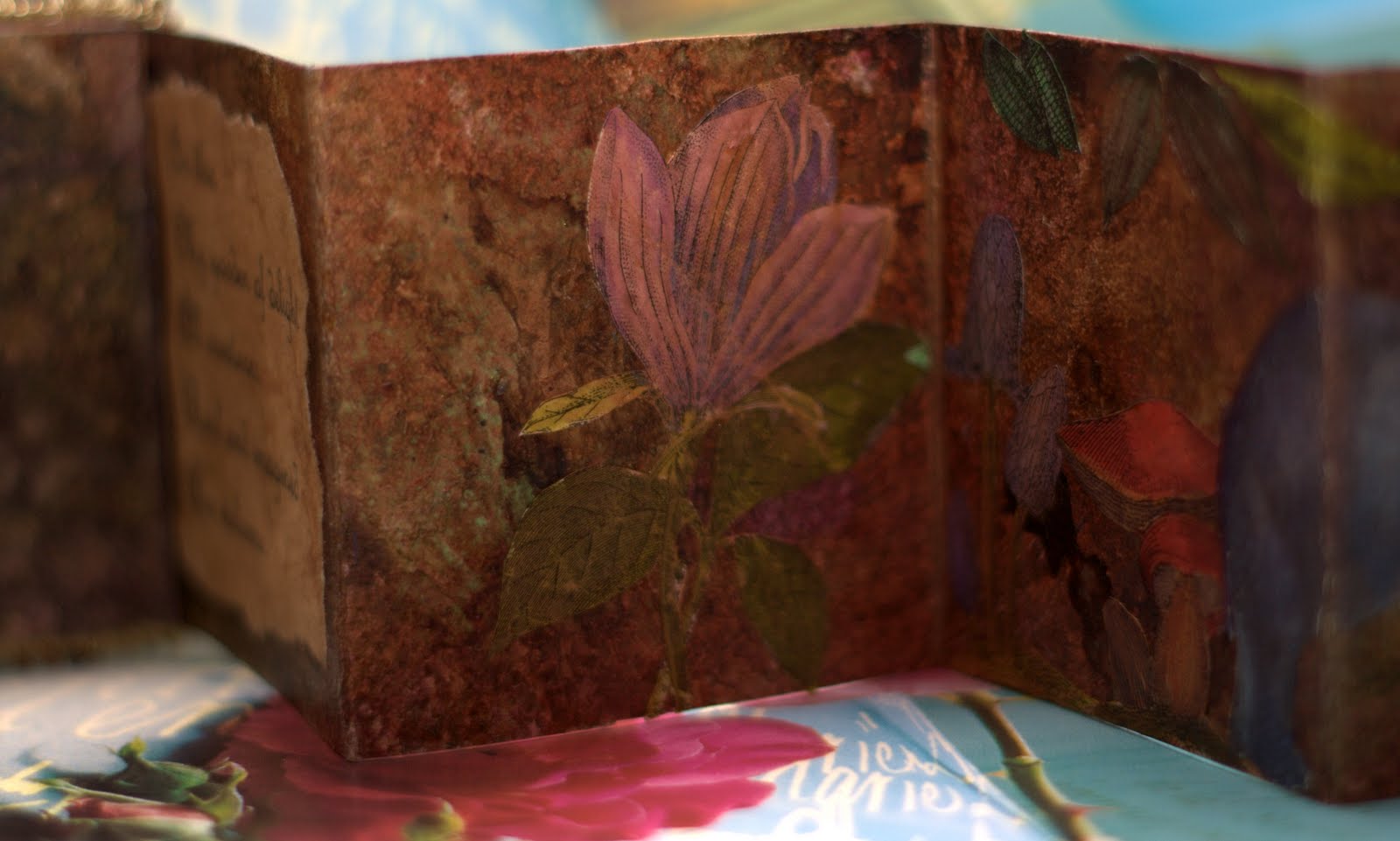 Spiral Dyed Downunder: Embossed Velvet Book