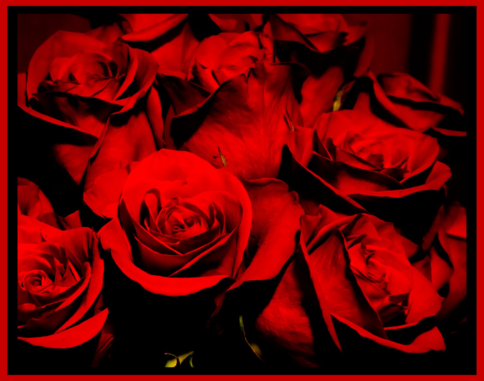 Lori's Blog : May 2010