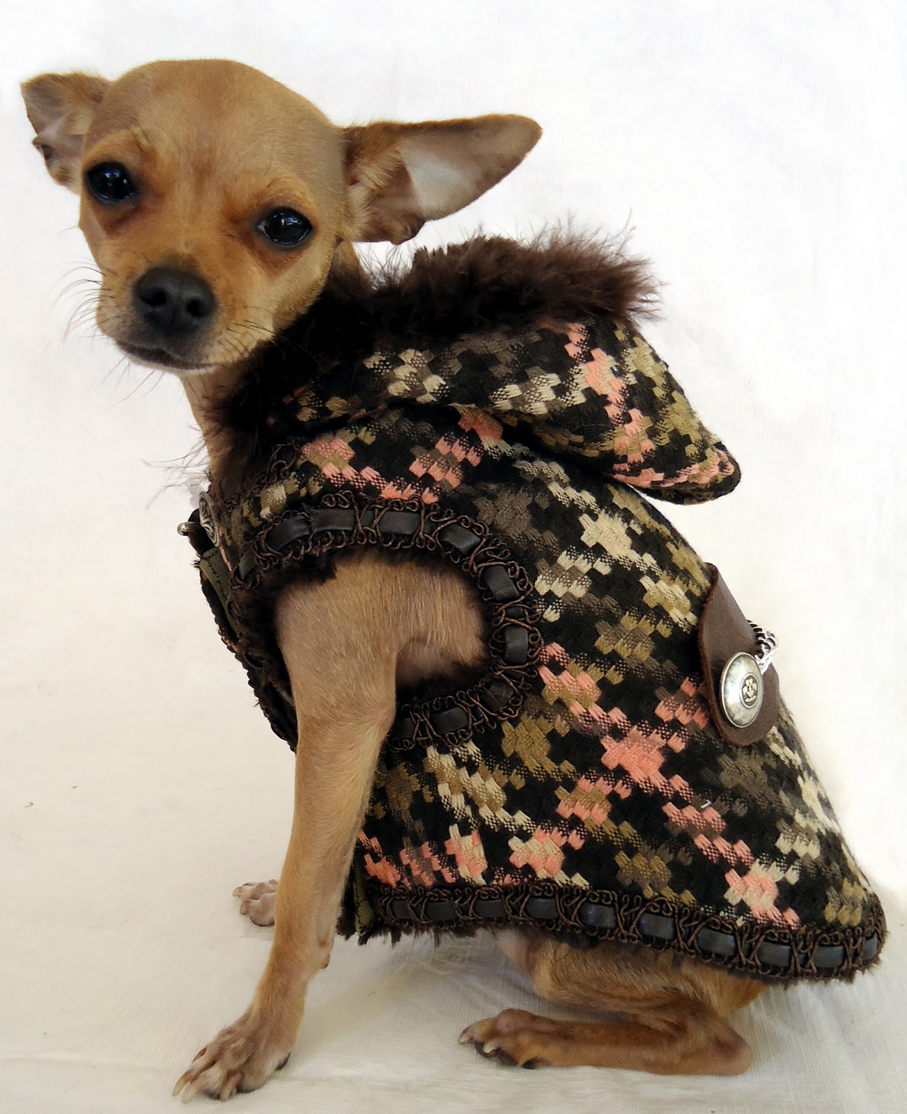 Kiki Hamann Canine Couture - Haute Living Plus Dog: The Miuccia Winter Coat