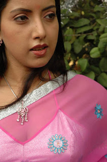 MASTIWADA - Bollywood Gossip Masti Blog: Preethi Mehra transparent ...