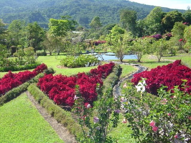 PROVINCIA DE CHIRIQUI: "Reseña Historica de la Provincia de Chiriquí"
