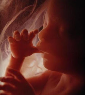 Mom and Baby: 40 Week of Pregnancy