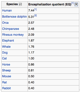The more weight you gain the less intelligent you will become as an ...