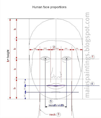 Human face drawing-face proportions