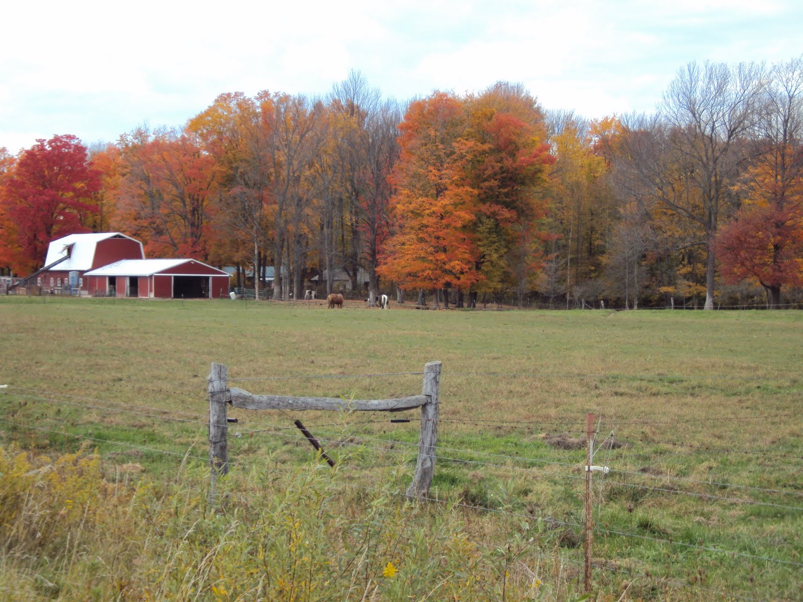 Holly Hills Primitives: AUTUMN IN NORTHERN MICHIGAN...