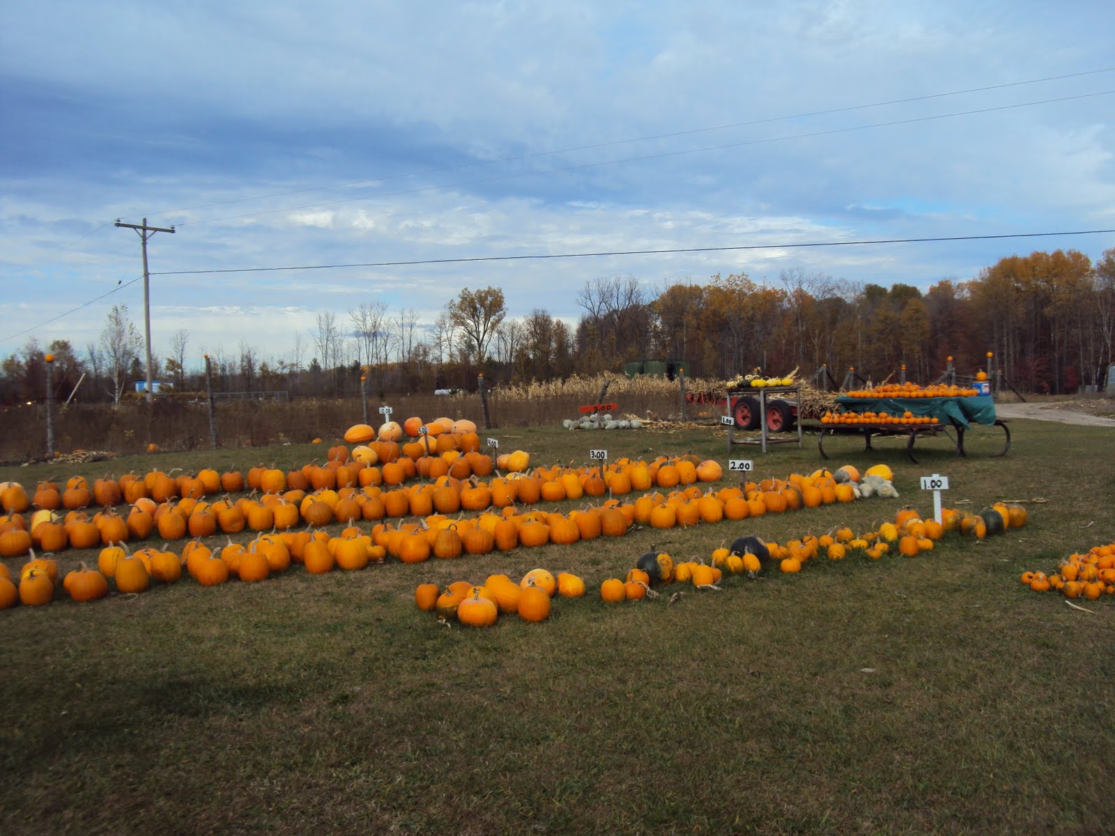 Holly Hills Primitives: AUTUMN IN NORTHERN MICHIGAN...
