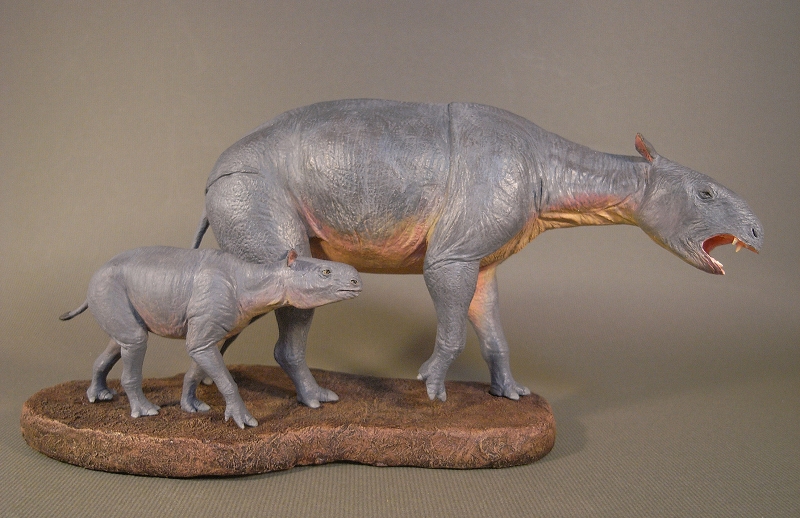 恐竜・古生物造形作品ギャラリー: アミノドン Amynodon