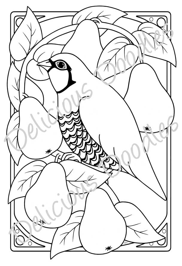 Partridge Coloring Page Coloring Pages