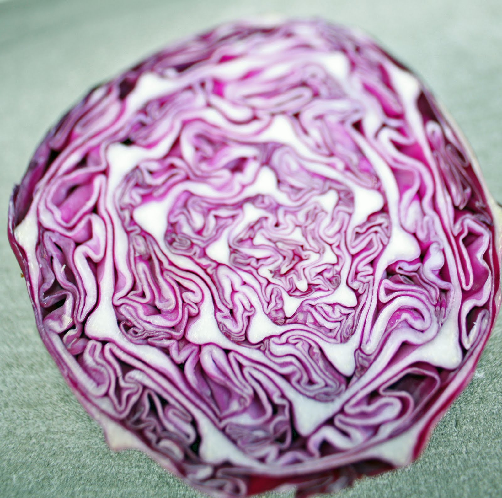 Chez Noonie: DIY: Red Cabbage Slaw