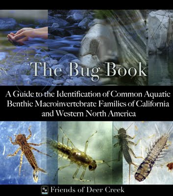 Jon Baiocchi Fly Fishing News: Book Review - The Bug Book