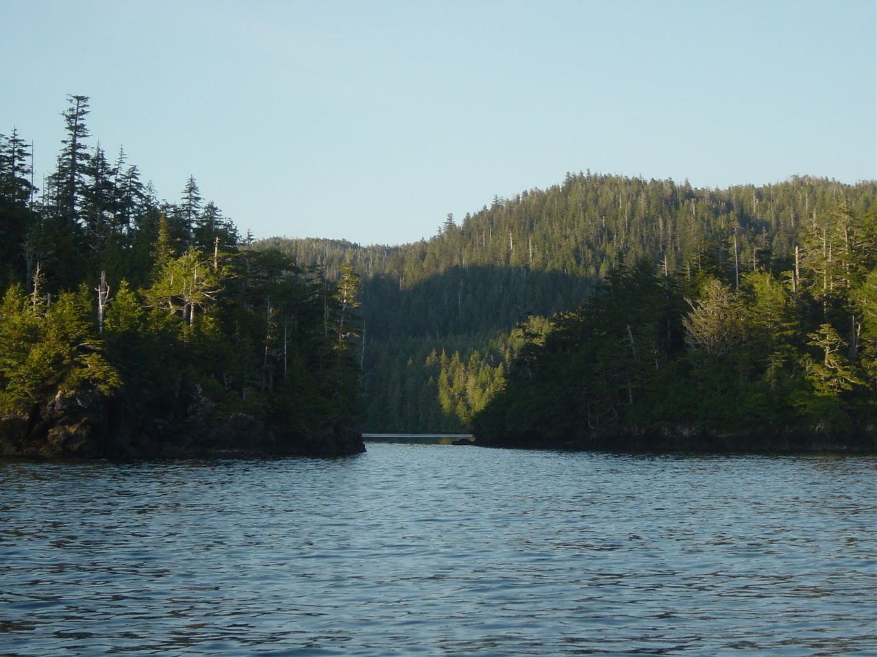 Travels of the Blue Note: Dall Island oh my