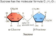 Cryogenics with Plants: Procedures