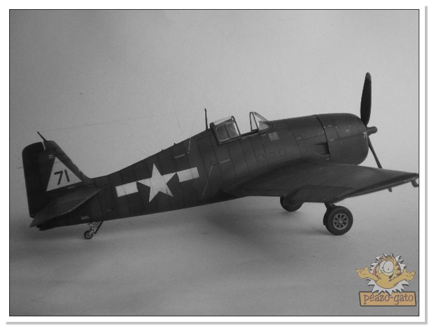 modelismo de peazo-gato: F6F-5 HELLCAT (Enterprise 1944)
