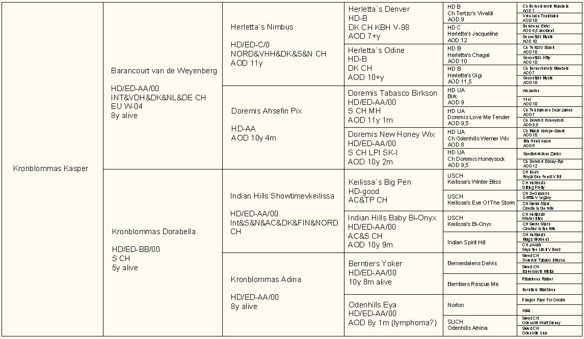 Kasperi blog: Sugupuu