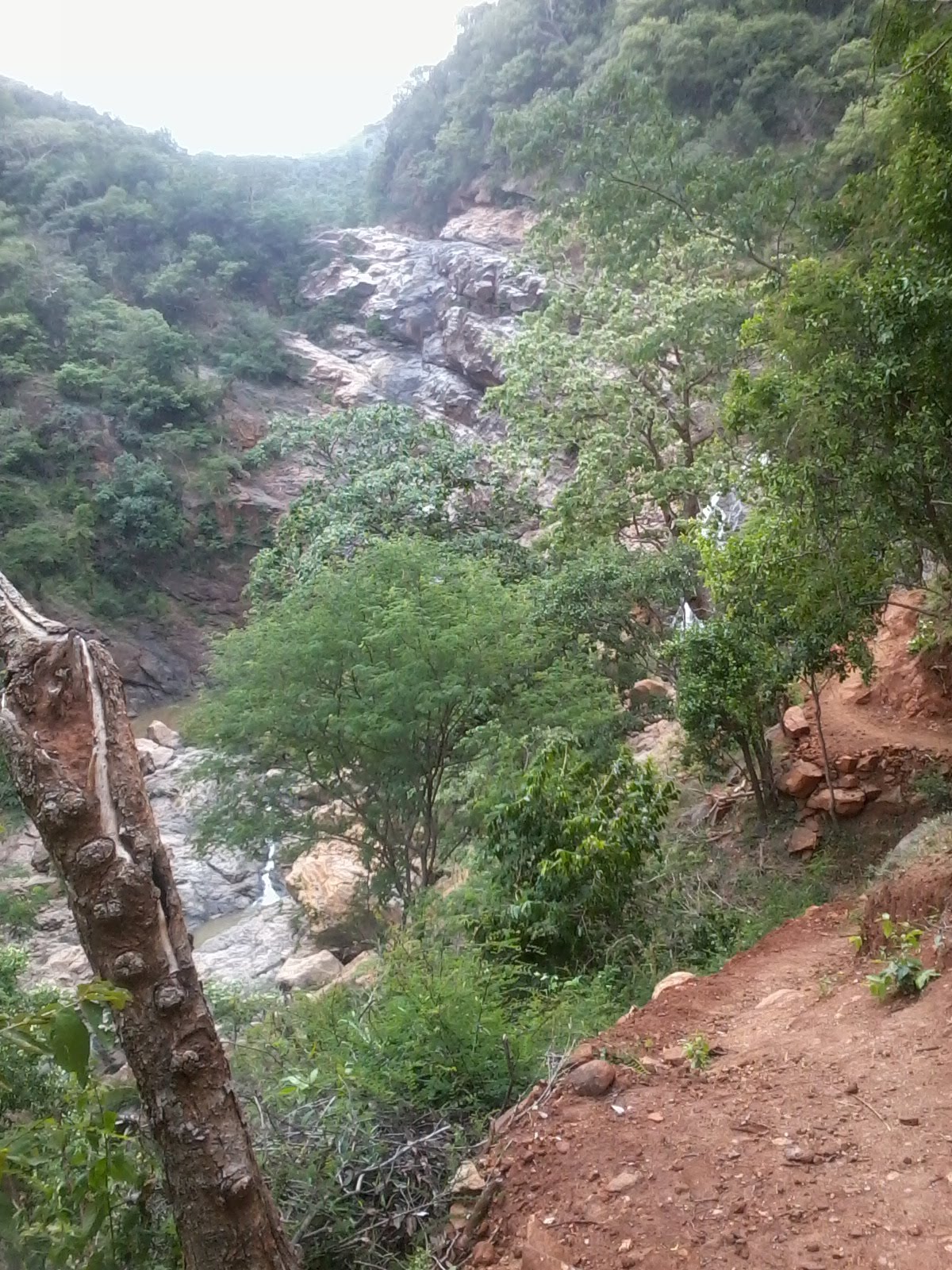 Pkgaran's Blog: Travelogue - Kalvarayan Hills - Periyar Falls - Megam Falls