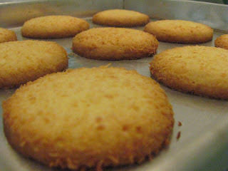 Sherlyn's hobbies blog （Sherlyn's 爱好部落格）: Japanese cookies - coconut ...