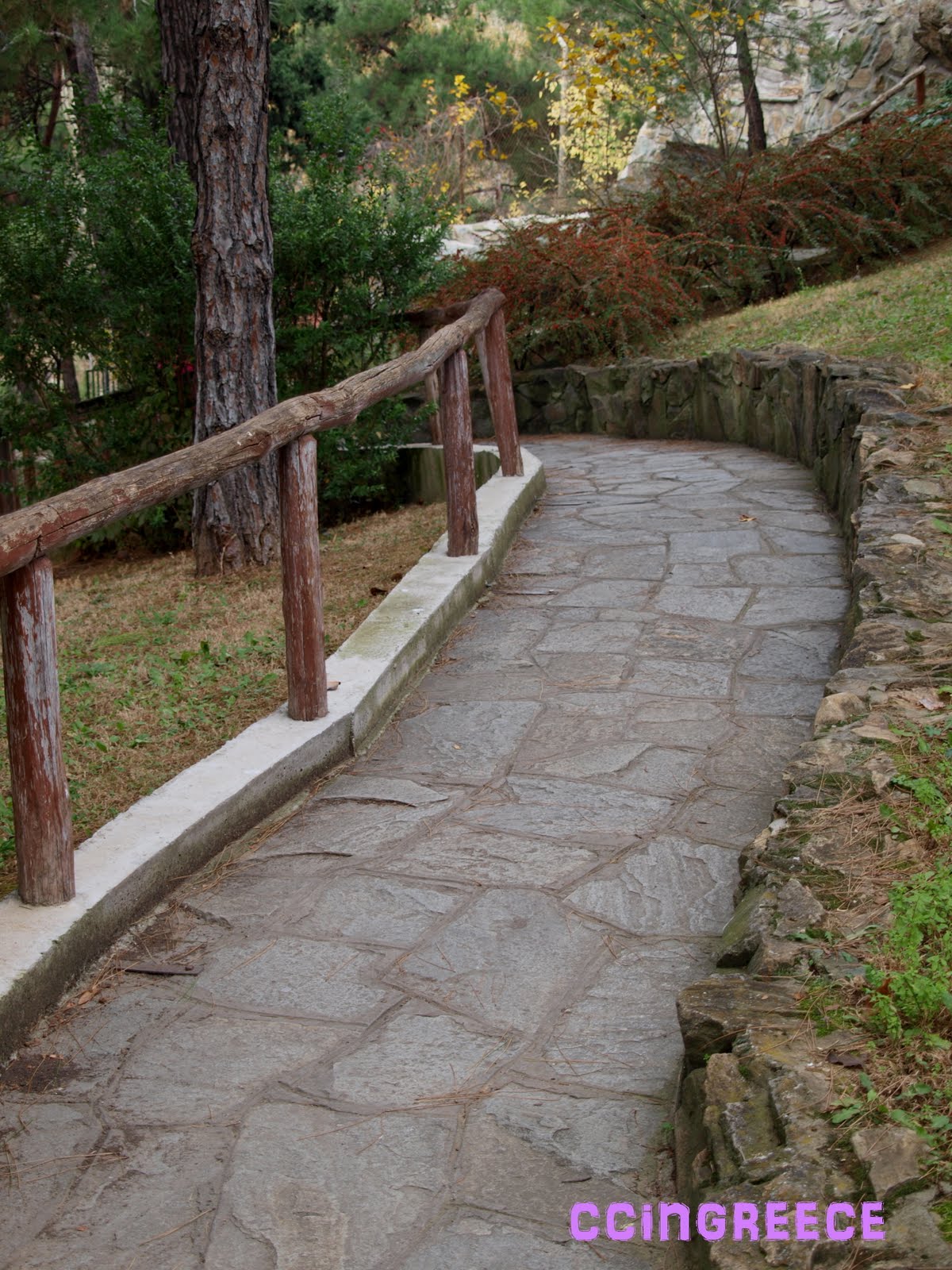 Rice, beans & pastichio...: Thessaloniki Zoo