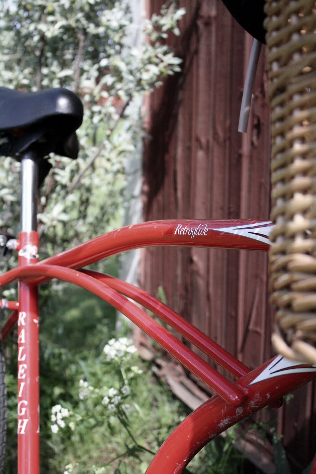 me and Alice: Pimped my bike!