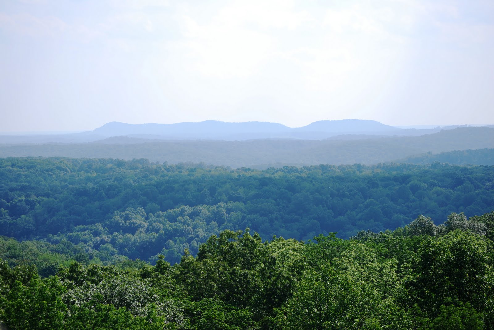 A Picture is Worth a Thousand Words: Forests around Cincinnati, Ohio
