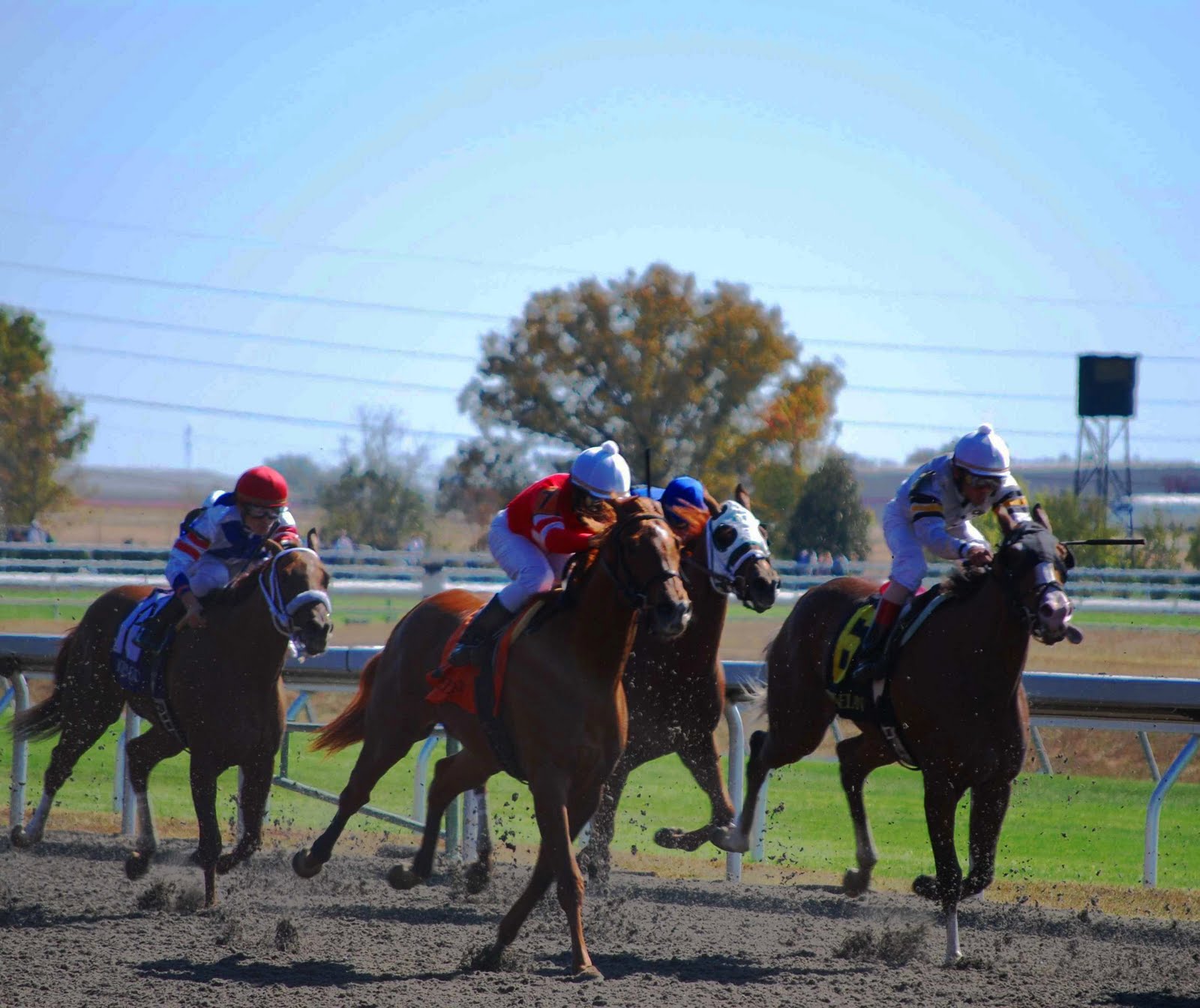A Picture is Worth a Thousand Words: A day at the Horse Derby ...