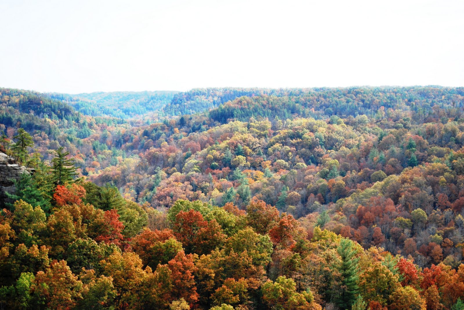 A Picture is Worth a Thousand Words: Daniel Boone National Forest, Kentucky
