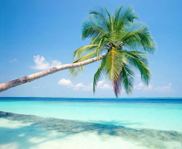 Friends_Of_Kapil: Beautiful Paradise