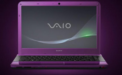 Sony Vaio E Series Notebook – Purple Passion