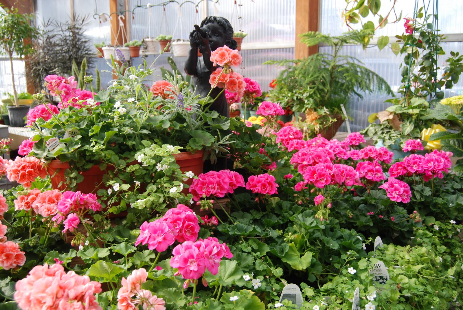 Skillin's Garden Log: Falmouth Spring Open House 2010--Awesome!