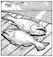 David Barkay - A Human Odyssey: A tribute to fish: the Ceviche (citrus ...