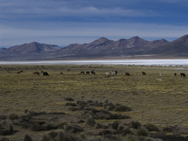 Adventures Tours in Peru: Salinas Salt Lake Biking Tour
