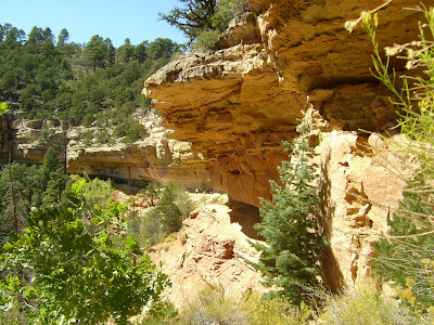 Hiking The Cliff Springs Trail