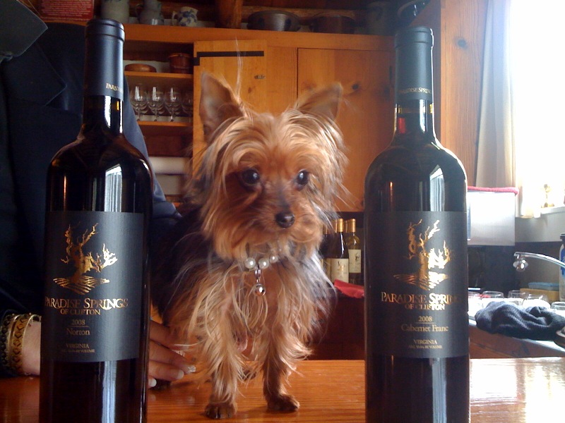Virginia Wine Dogs Blog: New Winery Has Wine Dogs Singing "You can take ...