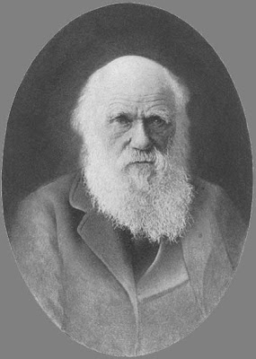 MAN BEARD BLOG: Man Beard: Charles Darwin