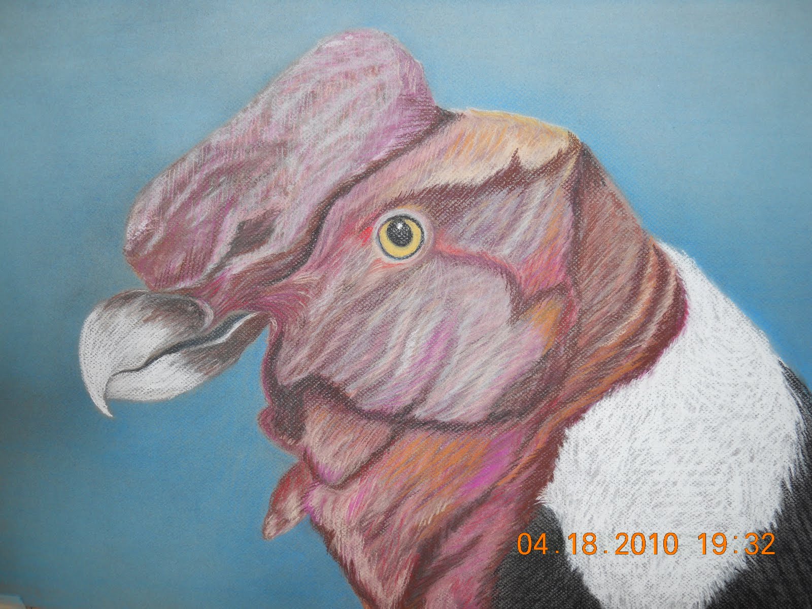 Art for Conservation - Nurtured by Fine Print: Condor Conservation in ...