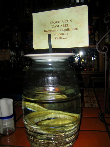 Musings of Snappybob and other Nonsense: Rattlesnake Tequila