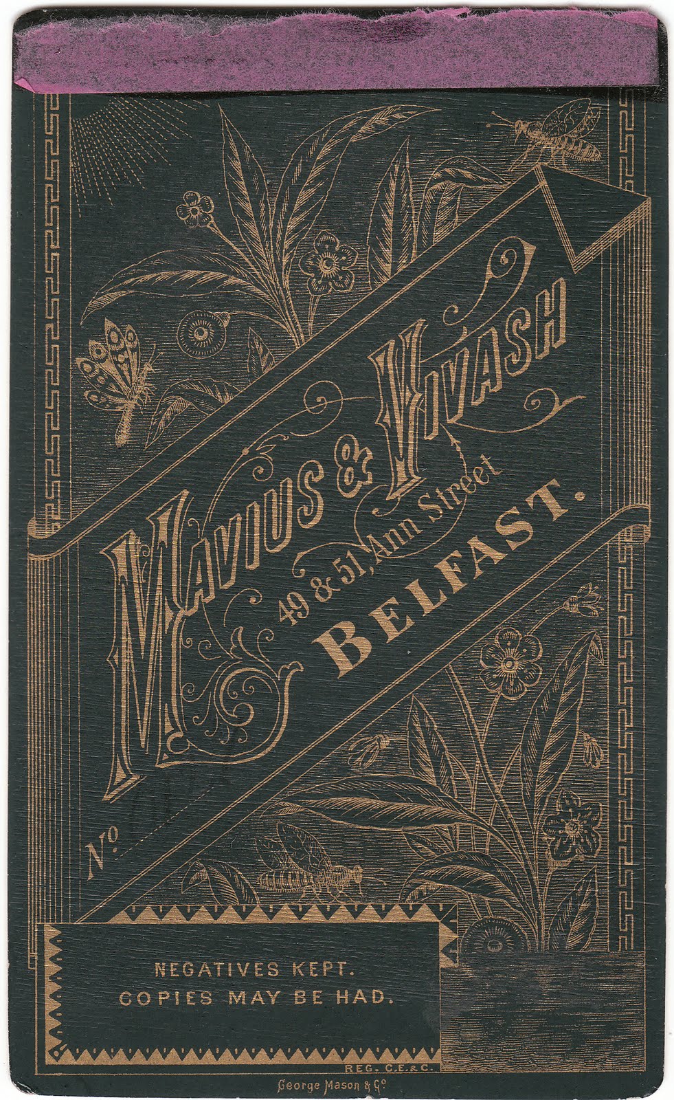 Secure the Shadow: Mavius & Vivash