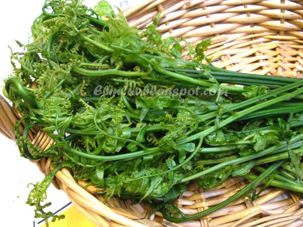 Elinluv's Tidbits Corner: Stir Fry Wild Fern Shoots With Shrimp Paste