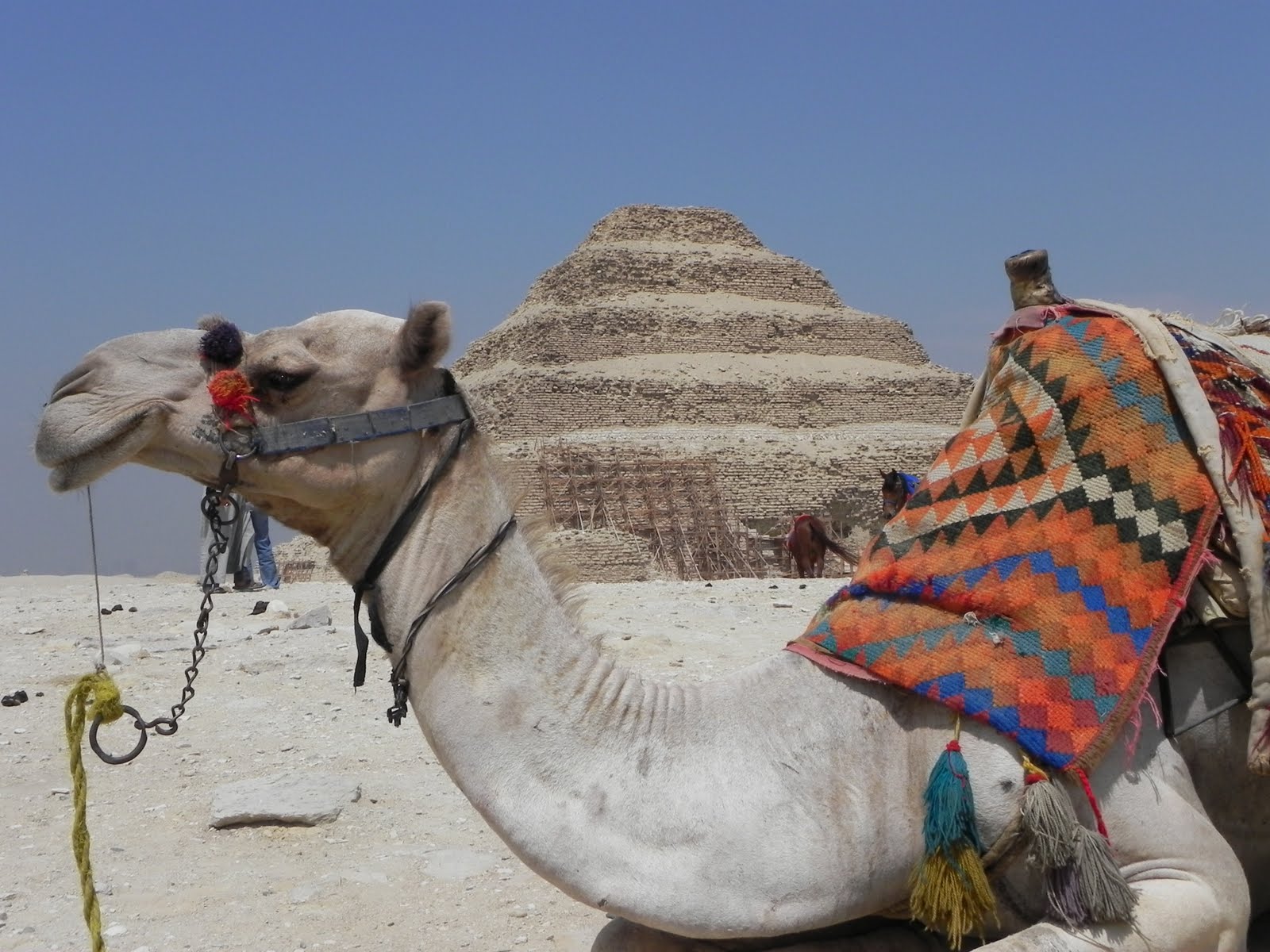 Papos de Gourmet: Viagem ao Cairo: Mercado Khan El Kalili