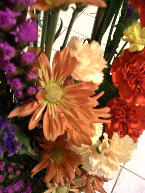 petal pusher in training: Parallel arrangement