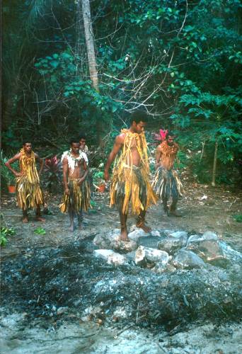 Beqa Fire Walking Ceremony In Fiji: My Fantacy-Beqa Fire Walking ...