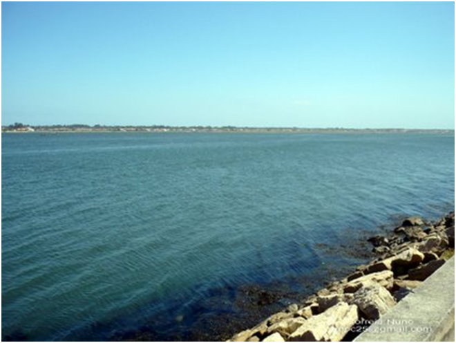 Biologia/Geologia 11: Formas de Deposição ( I )