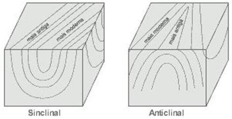 Biologia/Geologia 11
