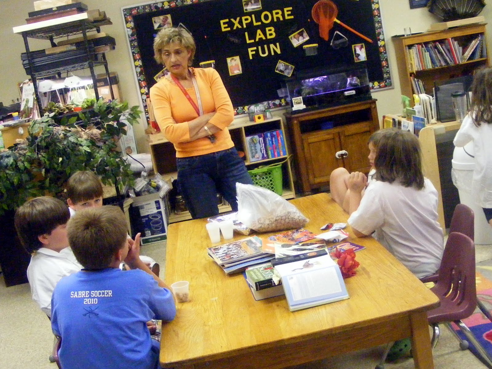 Aloha Windmill Farms: Log Bird Feeders