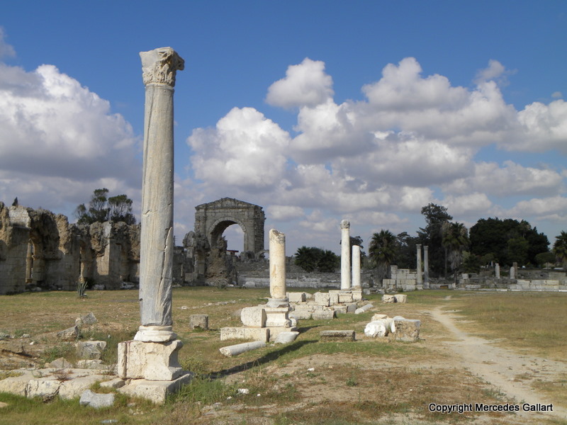 Diario de Viajes : LIBANO: MIRADAS DE ESPERANZA EN TIRO