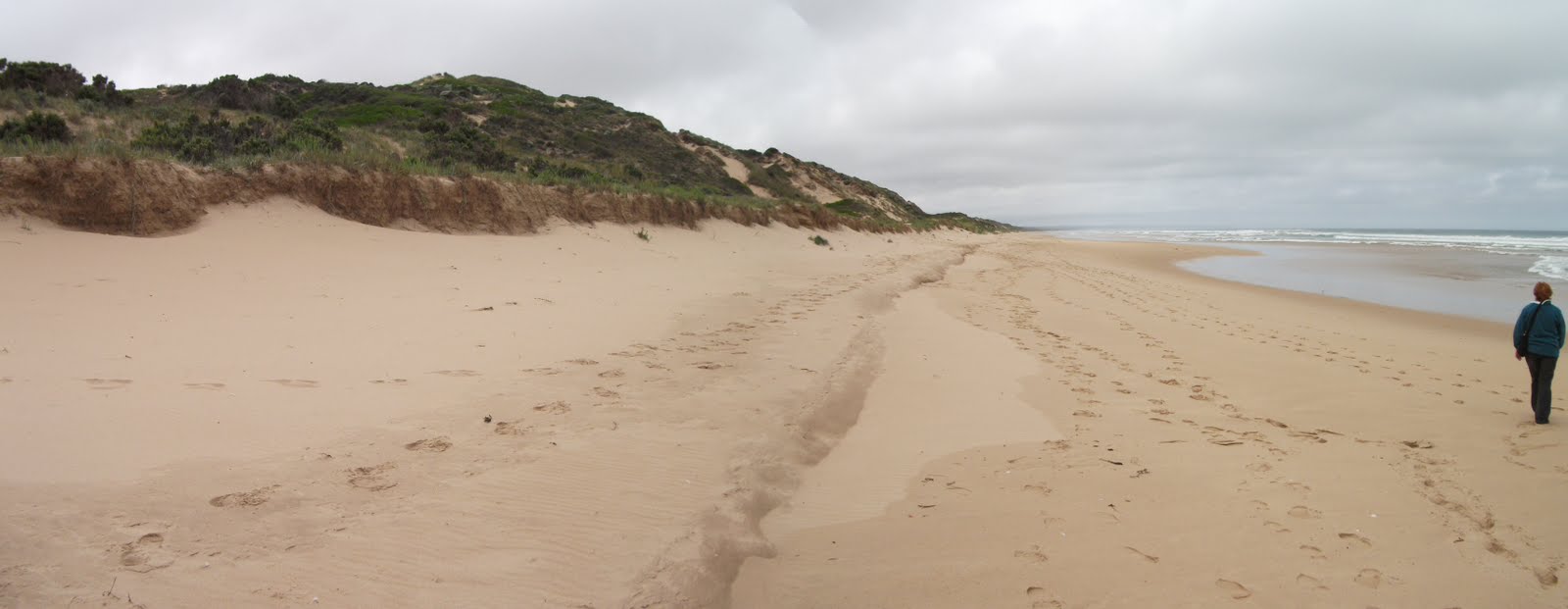 Venus Bay Observation Project: December 2010