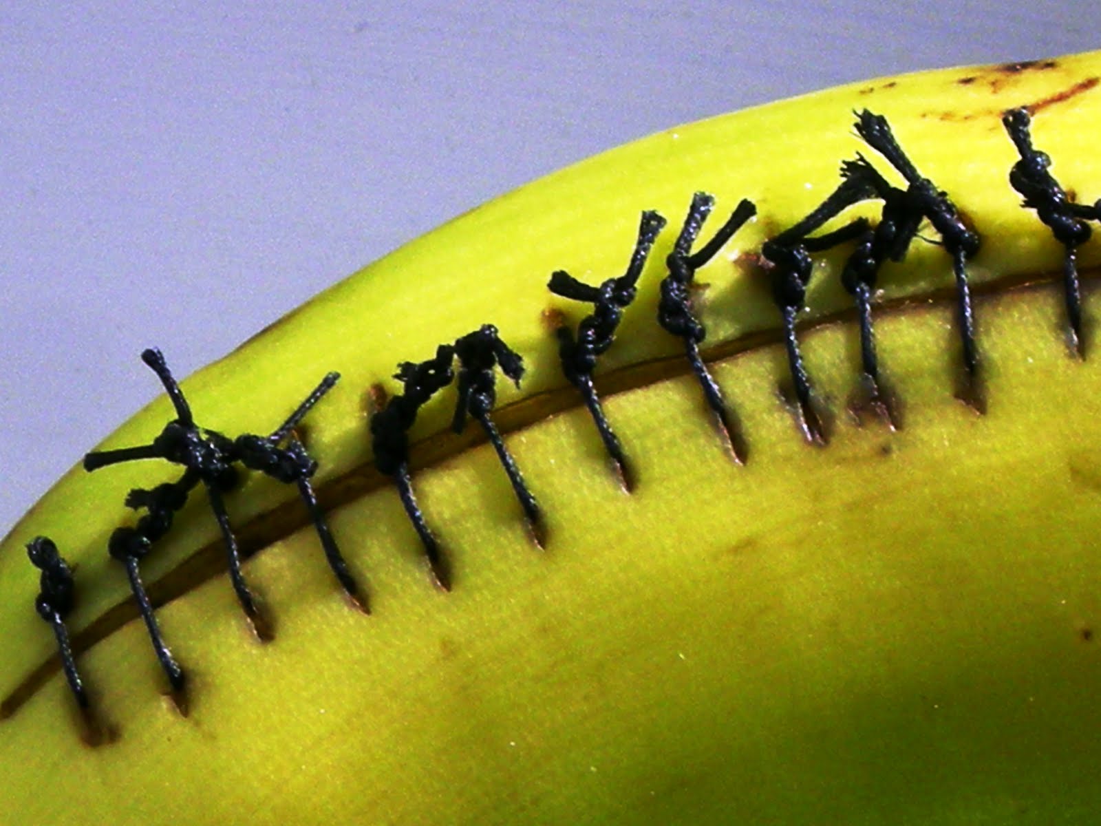 proCRAFTinatingPA: Medical Mystery Mondays- Stitches