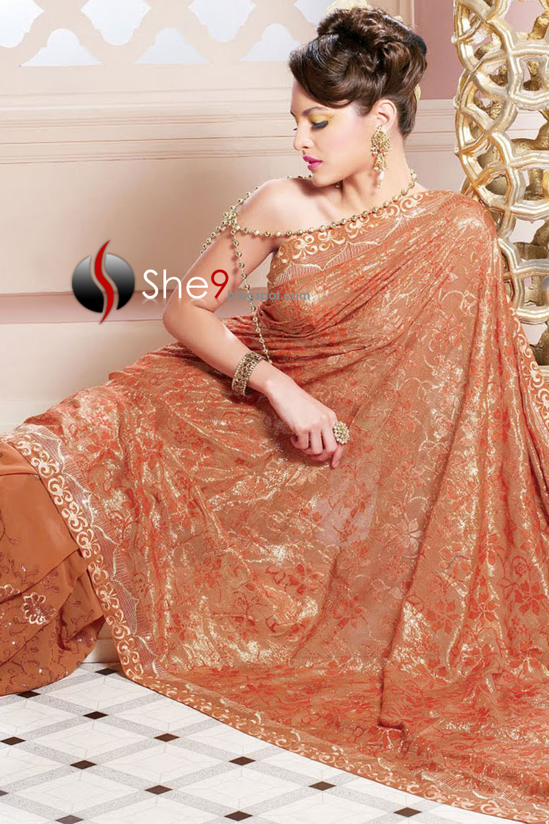 Saree | Indian Saree Collection 2010 - 2011 | Indian Saree Designs ...