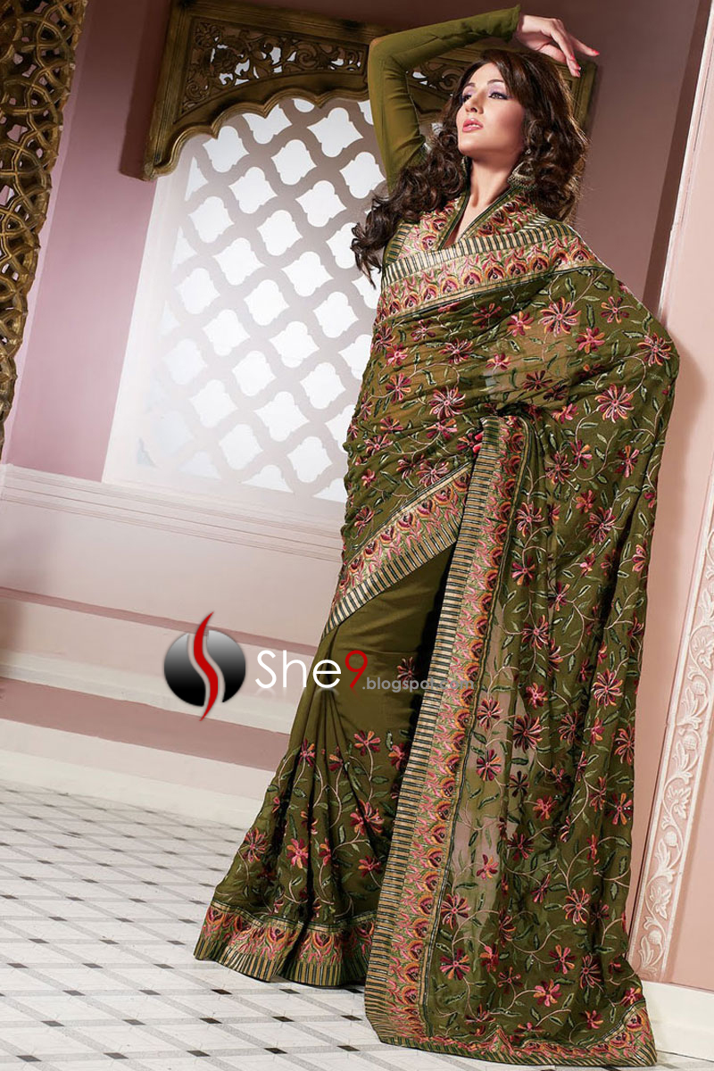 Saree | Indian Saree Collection 2010 - 2011 | Indian Saree Designs ...