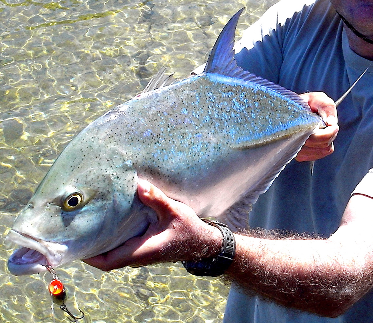 TopWaterGame: Fishing in Palau